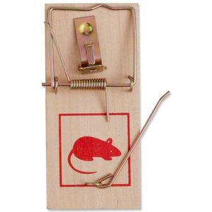 Professionele muizenklem - muizenval - 5 stuks - Tuinartikelen kopen ...