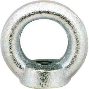 Dx oog--ringmoer - 582-10e - verzinkt - m10 - Klusspullen kopen ...