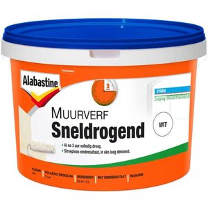 Alabastine sneldrogende egaliseerpasta - Klusspullen kopen? | Laagste prijs online | beslist.nl