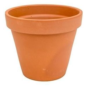 Bloempotten action - Goedkope plantenbakken kopen? | Lage prijs ...