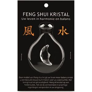 Feng shui raamhanger maan - transparant - online kopen | Lage prijs ...