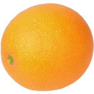 Nep fruit - online kopen | Lage prijs | beslist.nl