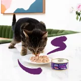 Edgard & Cooper Kattenvoer Fillets Tonijn - Garnaal 70 gr kopen ...